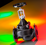 Flow Limiting Valves